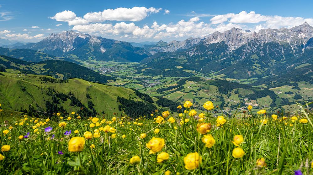 Sommerfrische in Maria Alm - Racktours GmbH & Co KG
